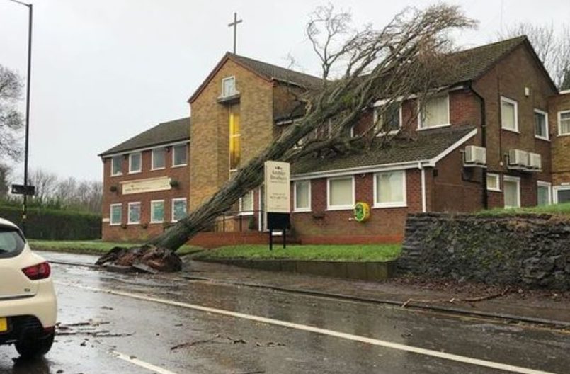 Ambler Brothers reassures families after ‘huge’ tree collapses on site ...