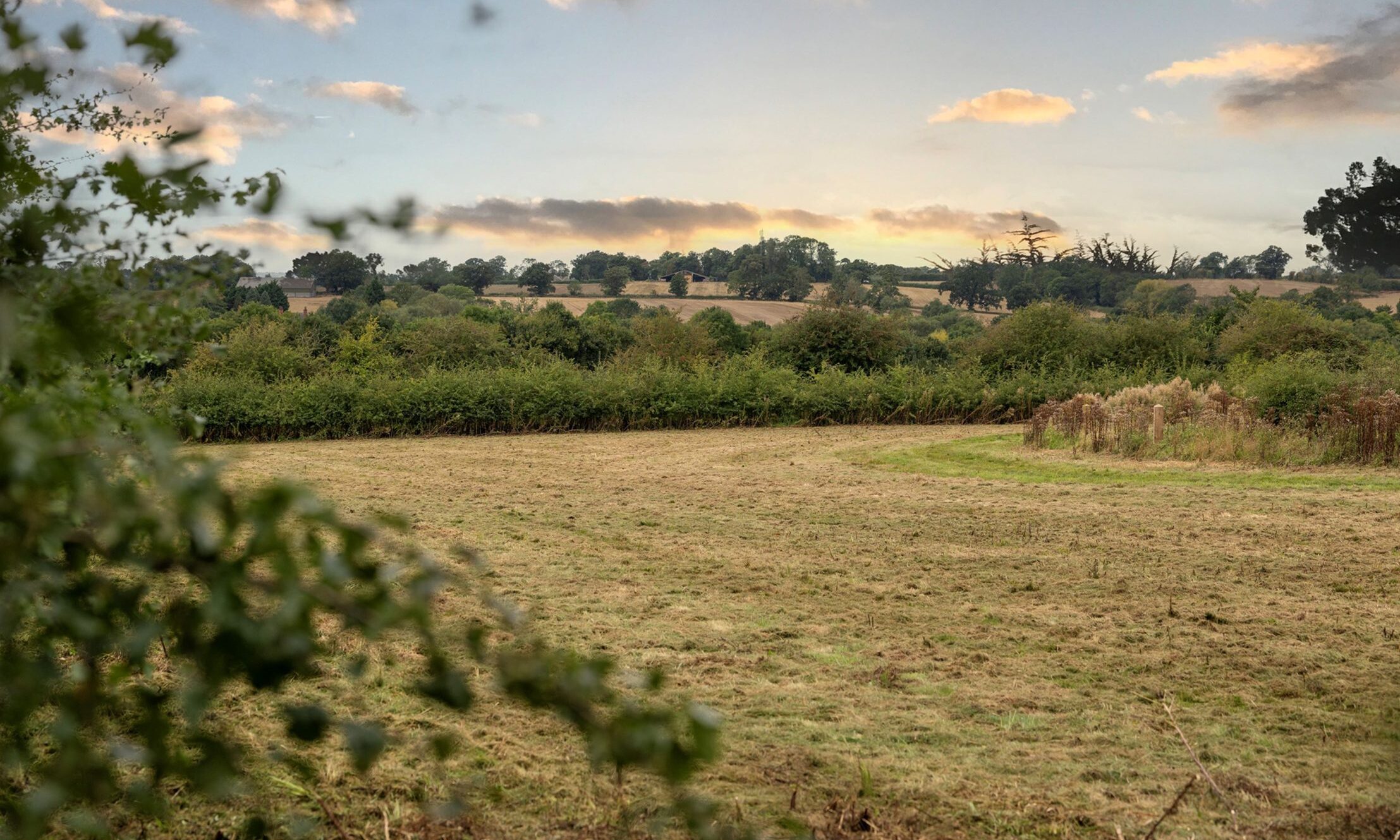 Great Glen Crematorium officially opens natural burial ground | Funeral ...