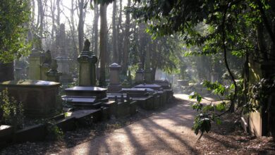 Funeral Service Times | UK Funeral Directors News & Analysis