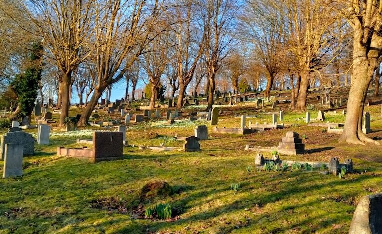 Luton Council acquires Vale Cemetery extension amid lack of plots ...