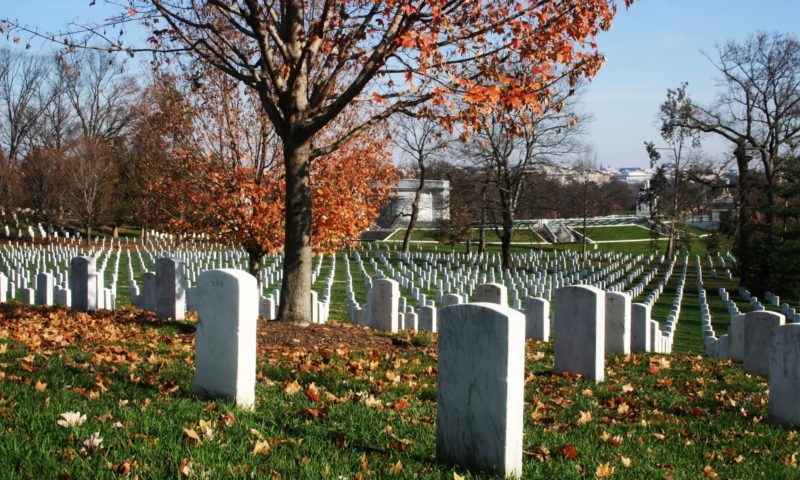 CMA launches funerals market investigation | Funeral Service Times