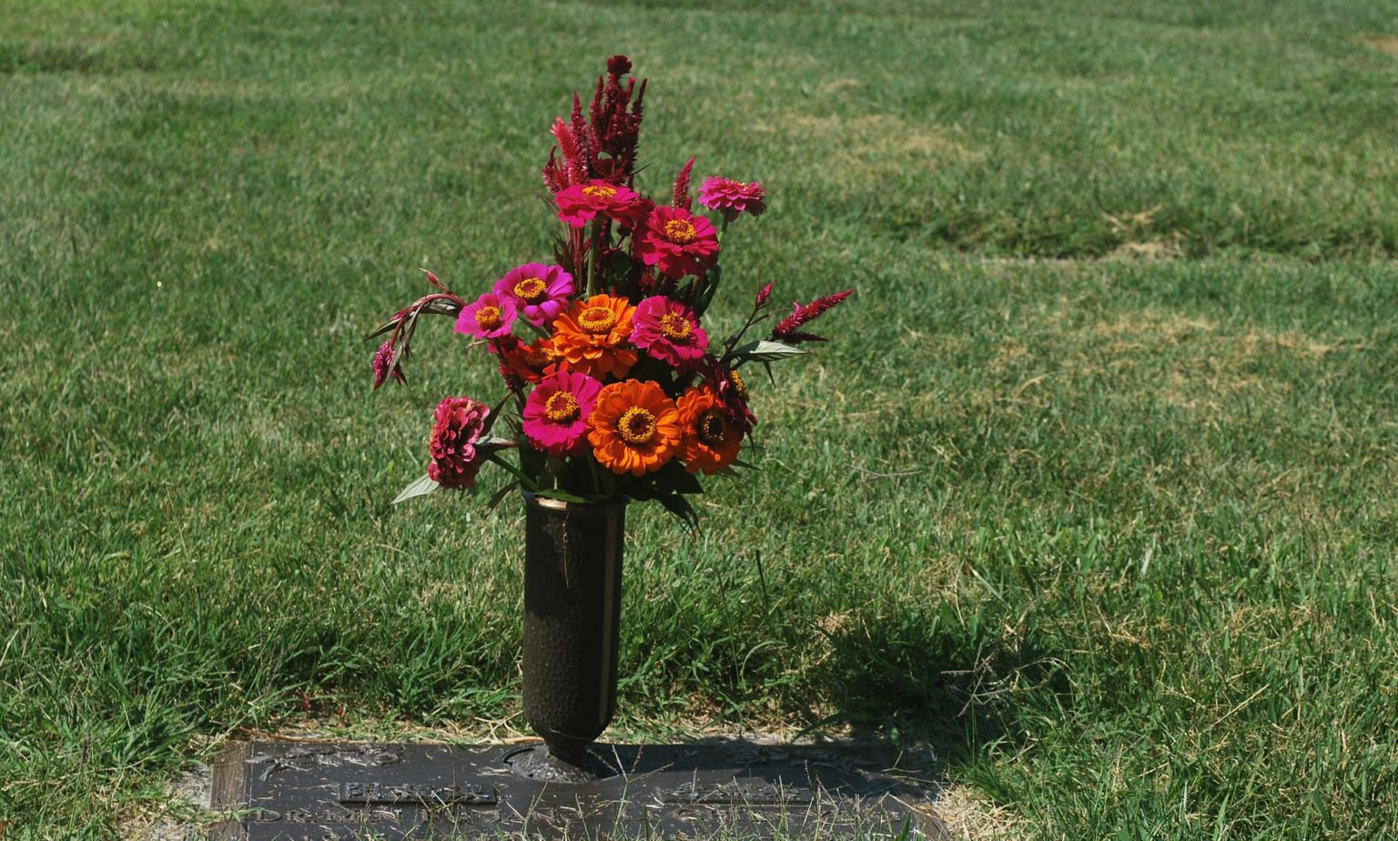 Pure Cremation reaches final stage of FCA approval process | Funeral ...